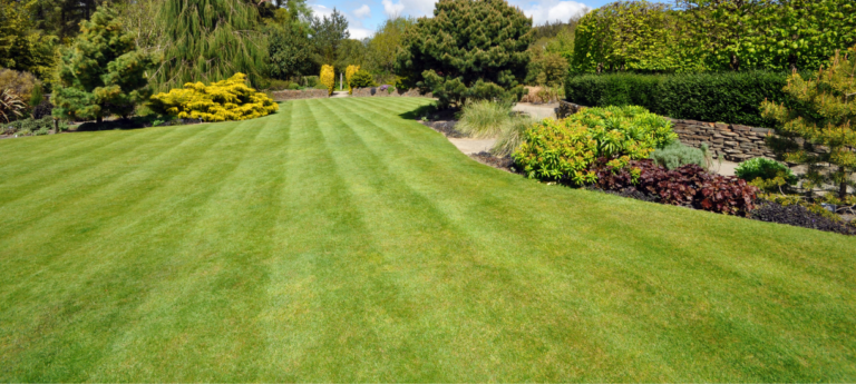 Cmonjardinier - Trouver un jardinier à domicile avec cmonjardinier.com