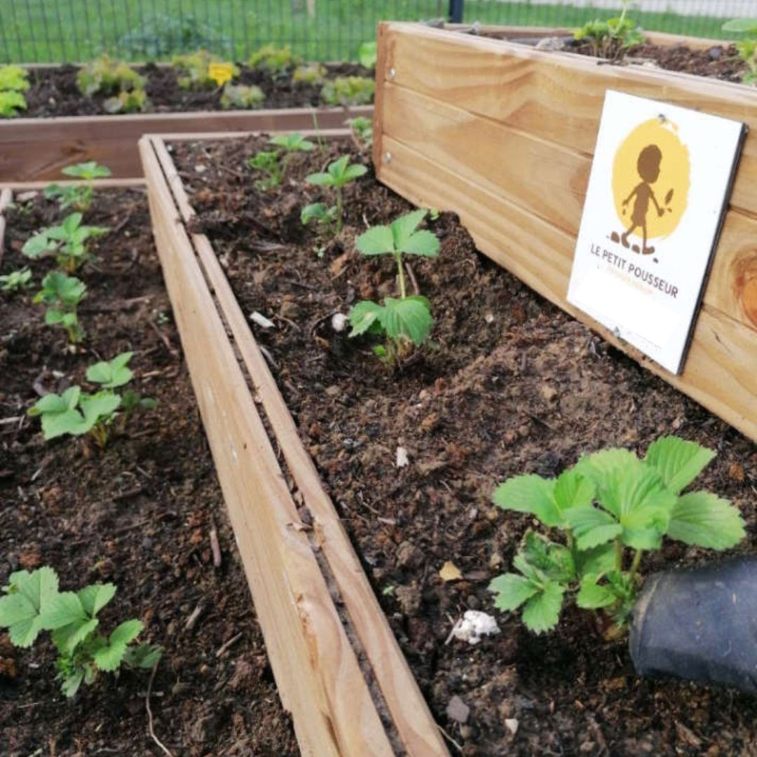 Des potagers modernes - Cmonjardinier